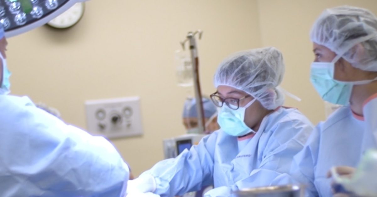 Meet the Veterinarians at a Military Working Dog Hospital | Vet Set Go