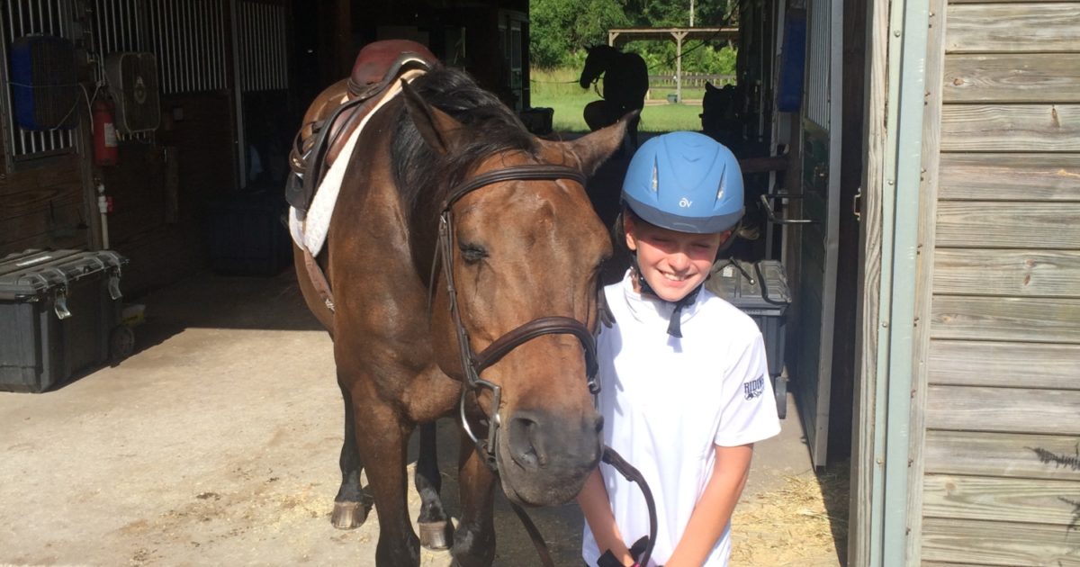 My Vet Dream | Vet Set Go