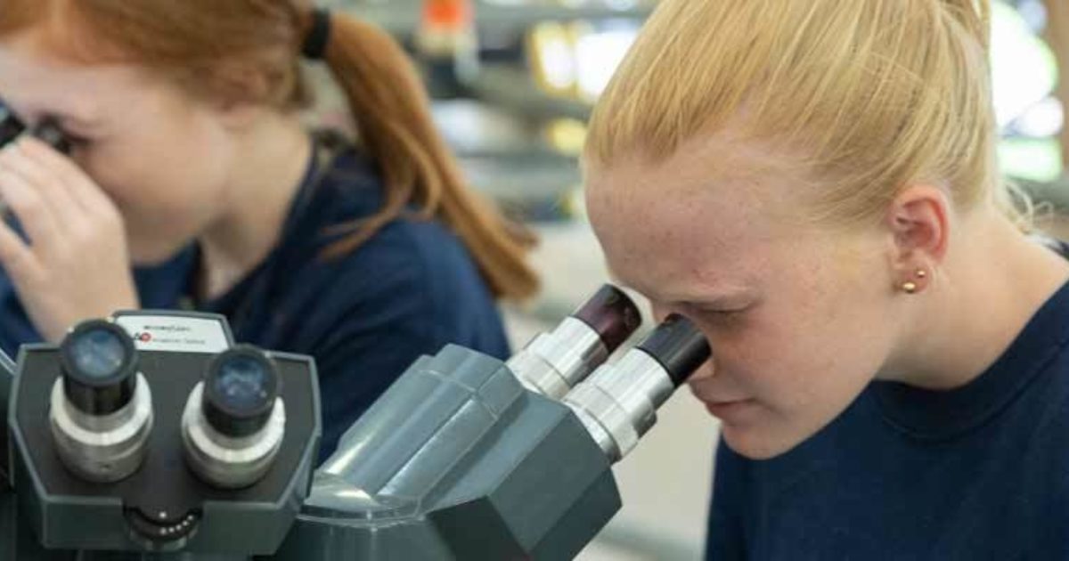 The 2019 Become a Veterinarian Camp Contest | Vet Set Go