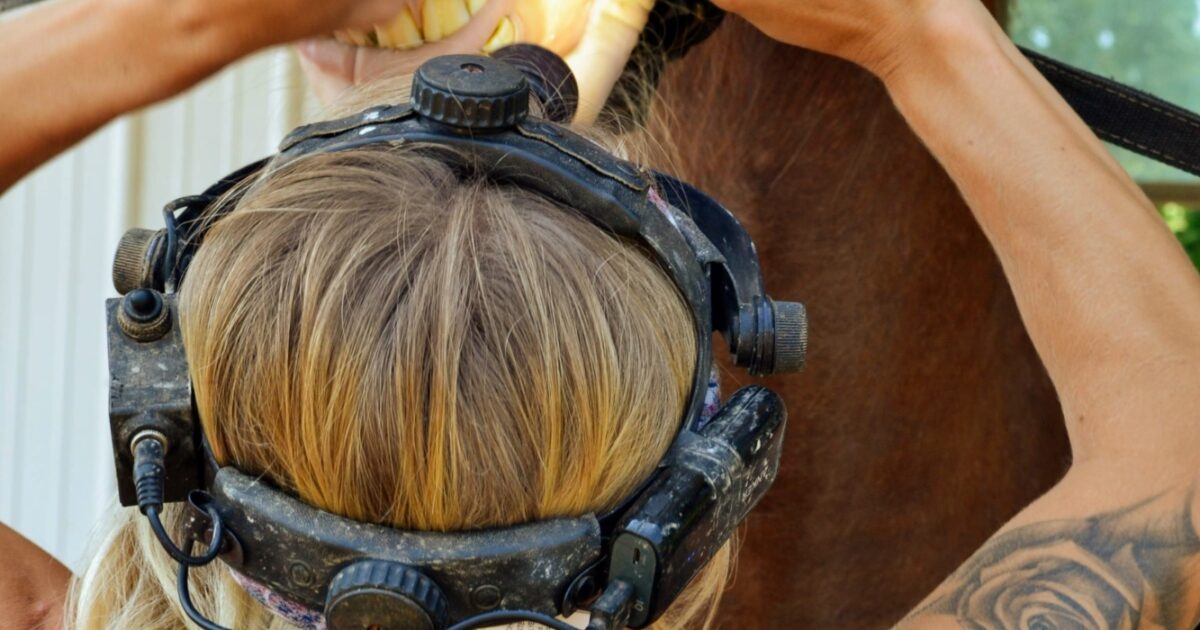 A Life Changing Experience | Vet Set Go