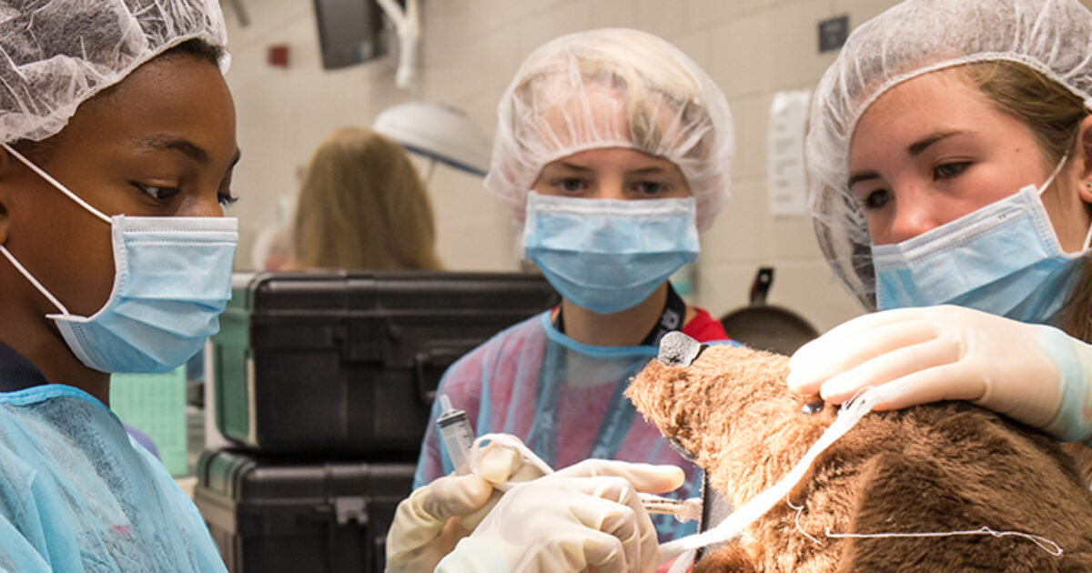 The Become a Vet Camp Contest Starts Next Month! | Vet Set Go