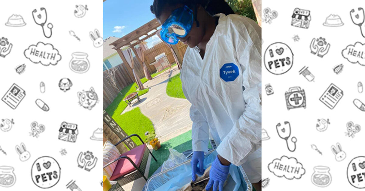 Vet Step II Camp - Tuskegee University | Vet Set Go