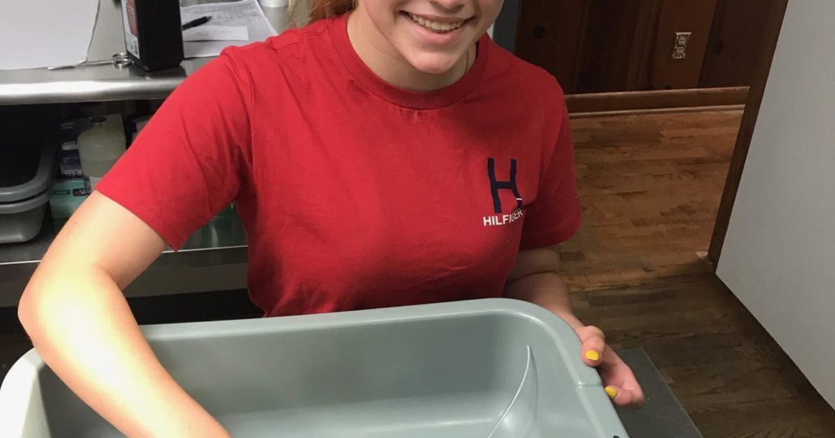 My Vet Shadowing at Cornerstone Animal Hospital | Vet Set Go