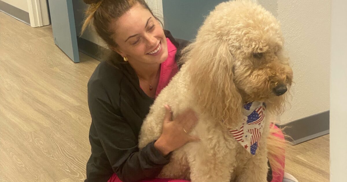 Why become a vet? | Vet Set Go