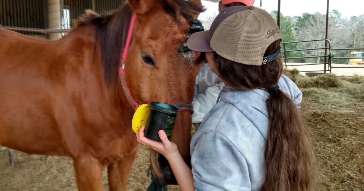 Camp Bette Perot | Vet Set Go