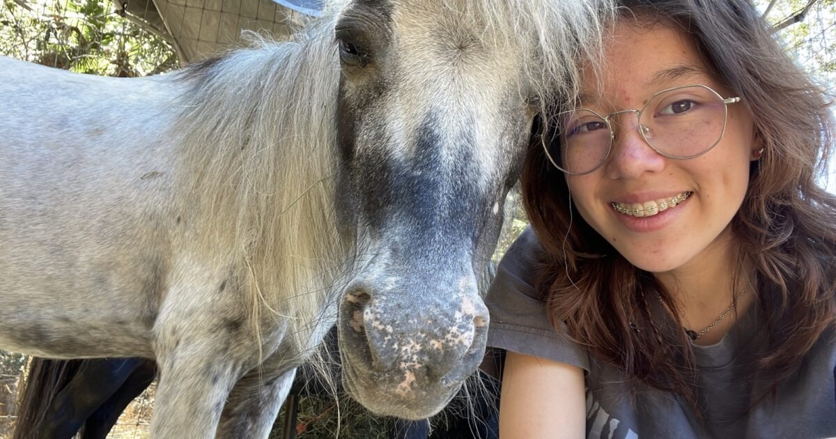 Shadowing A Large Animal Vet | Vet Set Go