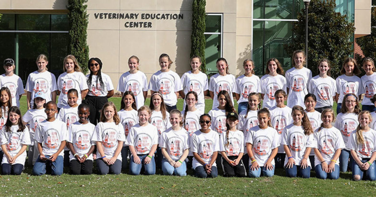 The Contest is Coming! | Vet Set Go