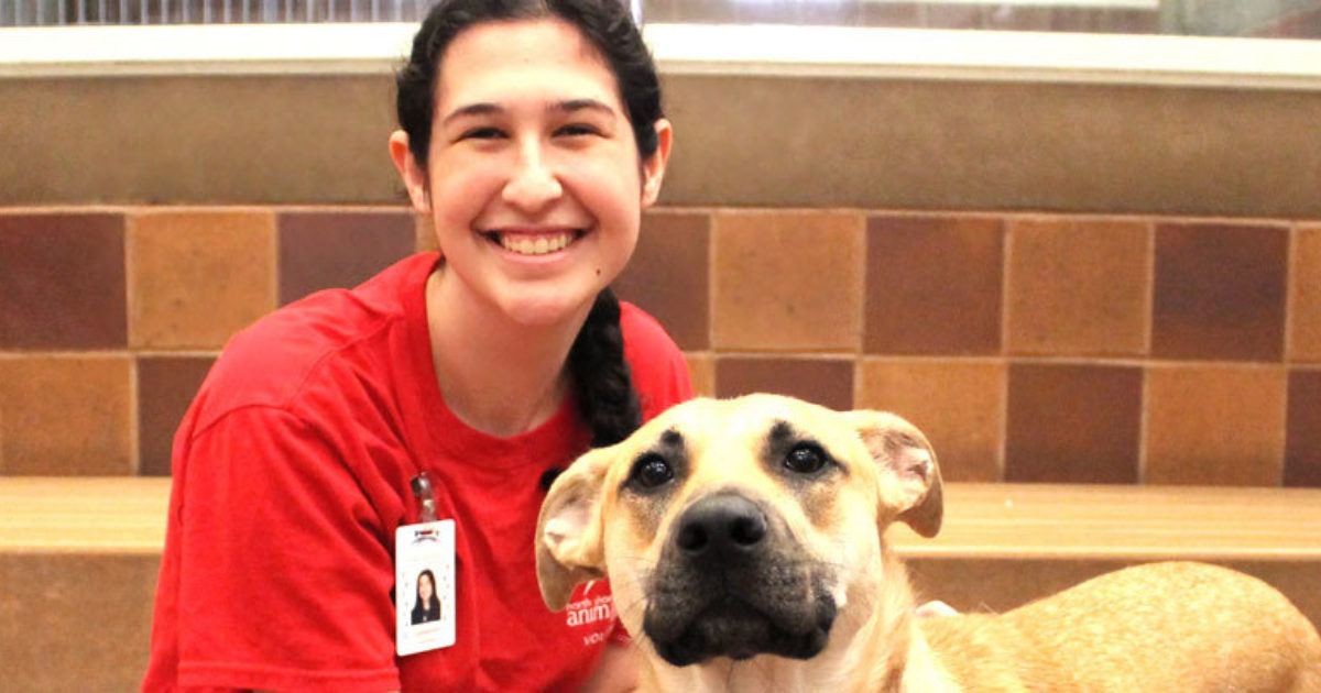 Join Vet Set Go and Take the Become a Vet Quiz for Free | Vet Set Go