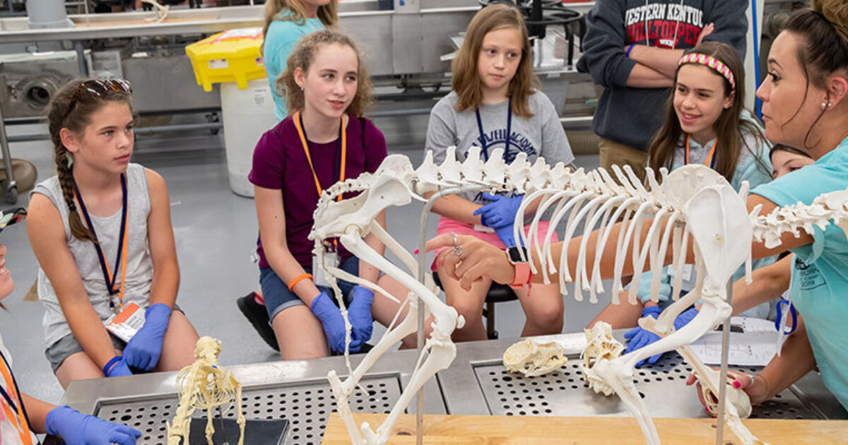 Win a Scholarship to Virtual Veterinary Camp This Summer | Vet Set Go