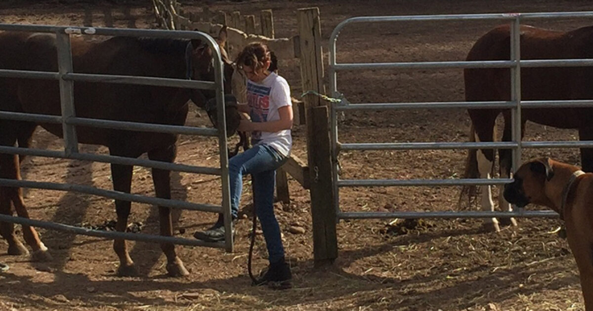 Take that First Step in Climbing Your “Veterinary” Mountain | Vet Set Go