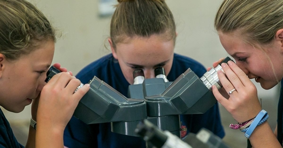 The 2018 Become a Veterinarian Camp Contest | Vet Set Go