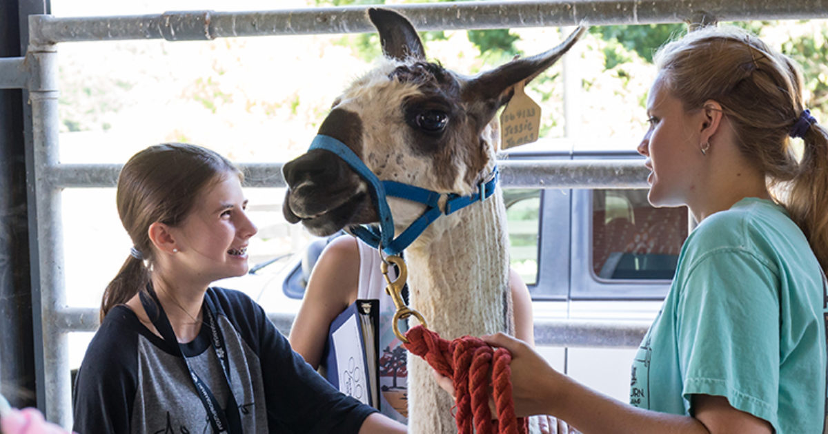 The Become a Veterinarian Camp Contest 2017 | Vet Set Go